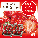 商品詳細ページ | tabeloop(たべるーぷ) | 【希少!特大!とちあいか 苺 いちご イチゴ 豊洲市場より】