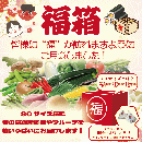 商品詳細ページ | tabeloop(たべるーぷ) | 【50セット限定!ひなあられ付き!桃の節句福箱!旬の房総野菜、房総果物詰め合わせ!】産地直送 産直