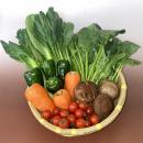 商品詳細ページ | tabeloop(たべるーぷ) | オーガニックやさいセット(6種類)【送料無料】