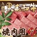 商品詳細ページ | tabeloop(たべるーぷ) | 九州産黒毛和牛焼肉用 500g