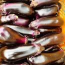 商品詳細ページ | tabeloop(たべるーぷ) | 奥久慈ナス 2kg(低農薬栽培)