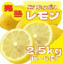 商品詳細ページ | tabeloop(たべるーぷ) | 【爽やかな酸み!フレッシュもぎたてレモン】