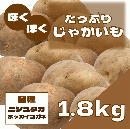 商品詳細ページ | tabeloop(たべるーぷ) | 【ほくほく熟成じゃがいも!大玉!ニシユタカ・ほっかいこがね】