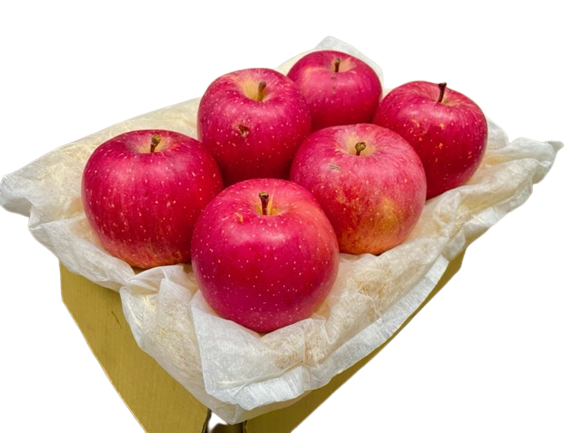 tabeloop(たべるーぷ)