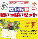 商品詳細ページ | tabeloop(たべるーぷ) | 【60サイズ箱いっぱい】新鮮房総野菜詰め合わせセット 産地直送 産直 房総直売所販売野菜をご家庭で。