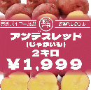 商品詳細ページ | tabeloop(たべるーぷ) | 【レッドムーン 2キロ 詰め合わせ じゃがいも】豊洲市場 ブランドじゃがいも 在庫過多